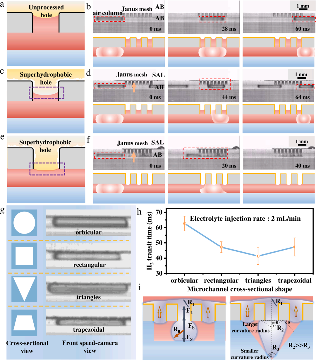 应用实例|哈尔滨工业大学《CEJ》：具有高气液分离效率的仿生Janus微流体制氢仿生功能器件 | 新闻资讯 | 微纳视界 - 微纳制造综合服务信息网