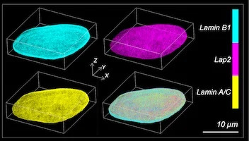 显微镜方法支持纳米级的 3D、多靶点细胞成像 | 新闻资讯 | 微纳视界 - 微纳制造综合服务平台